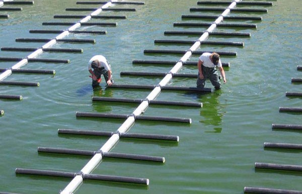 Epdm Aeration Ultra Fine Bubble Tube Diffuser , Air Blower Diffuser For ...